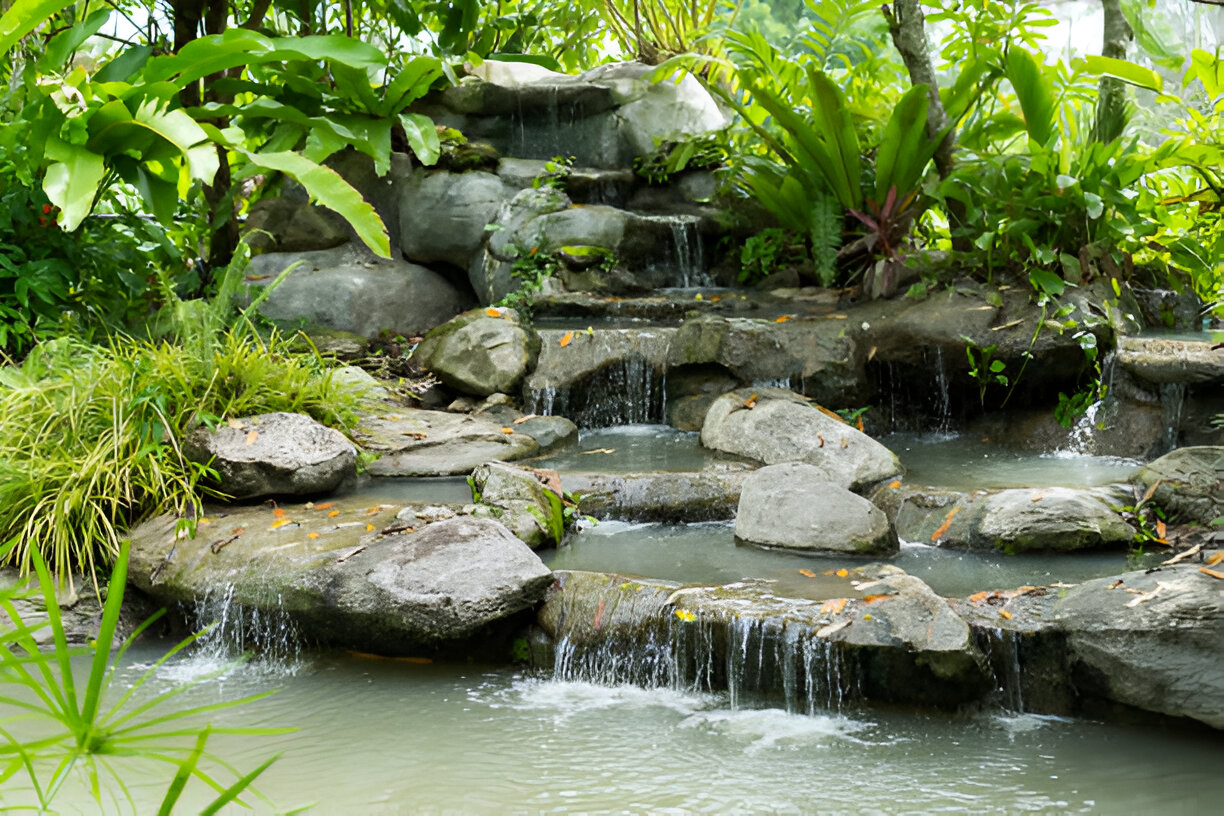 Ways to Keep Your Pond Water Clear Naturally - Onjira